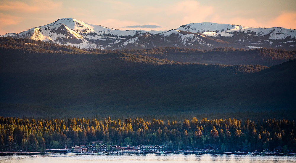 Contact Us - Shore Lodge